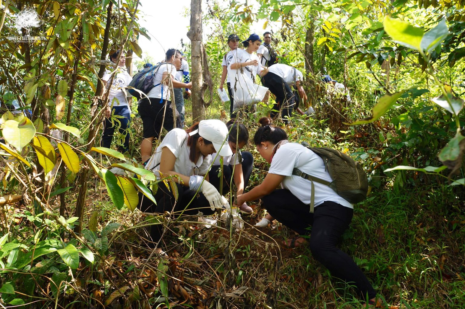 Philippine Center for Environmental Protection and Sustainable ...