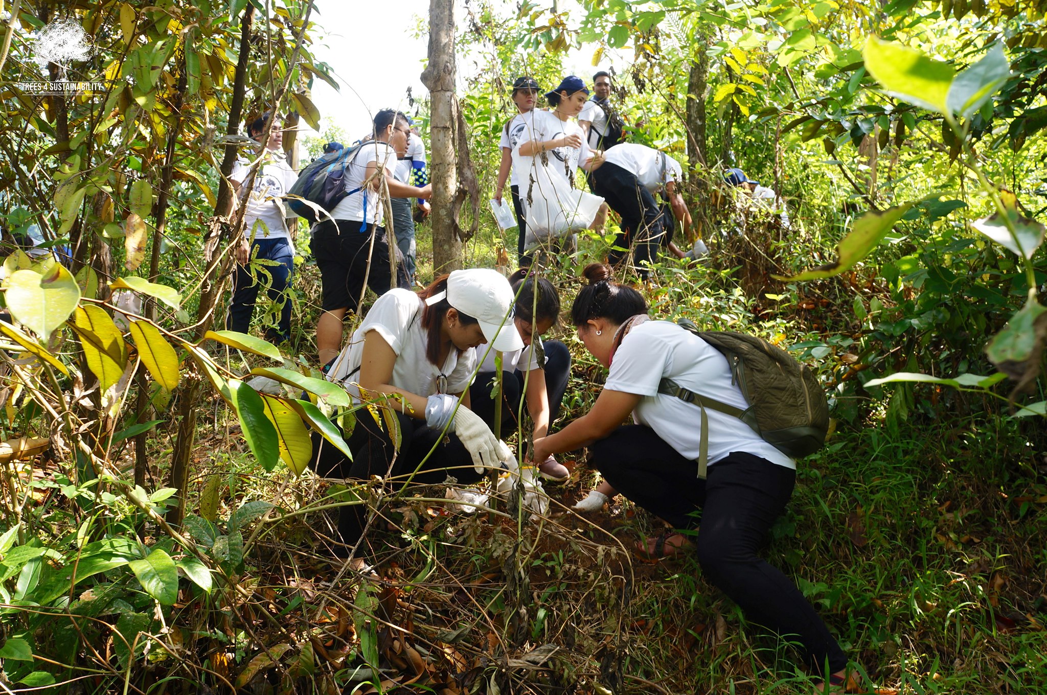 Philippine Center for Environmental Protection and Sustainable ...