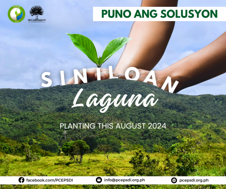 T4S 2024 Comeback:”Puno ng Polusyon Puno and Solusyon” - Ecolabelling ...